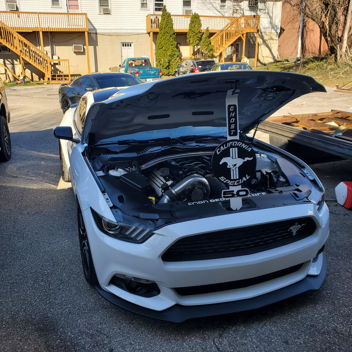 California Special Mustang Hood Prop – Custom Tribar Pony Steel Car ...
