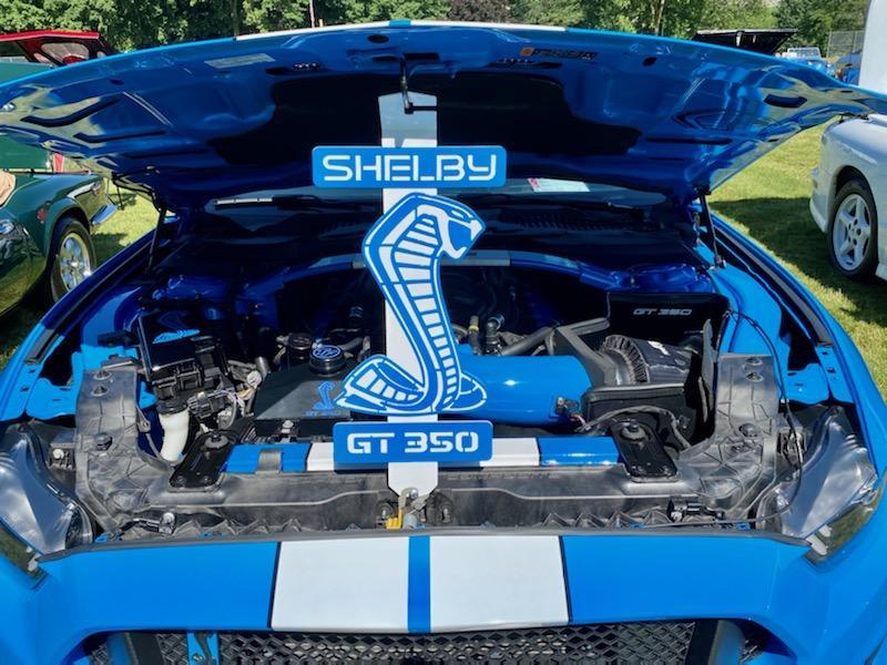 Shelby Mustang GT350 Hood Prop – Martin Metalwork LLC