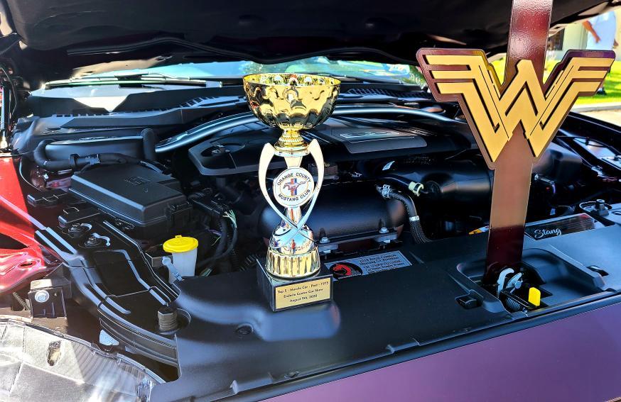 Custom Car Show Hood Props - Heavy Gauge Steel, Personalized Designs ...