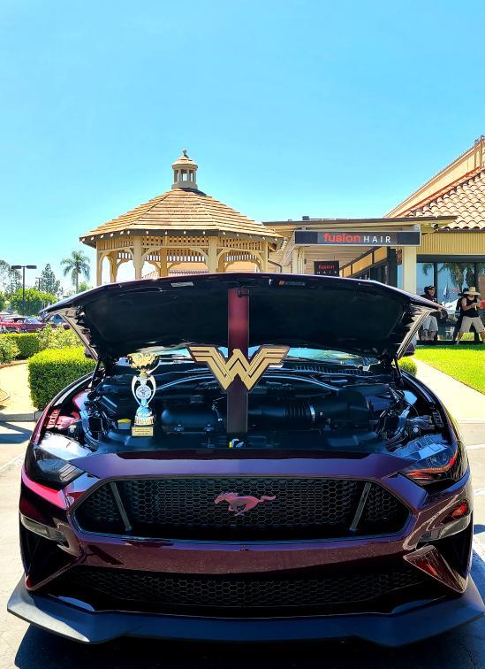 Custom Car Show Hood Props - Heavy Gauge Steel, Personalized Designs ...